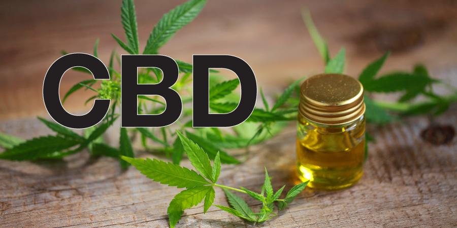 CBD for Health and Wellness – Everything You Need to Know - Chart Attack