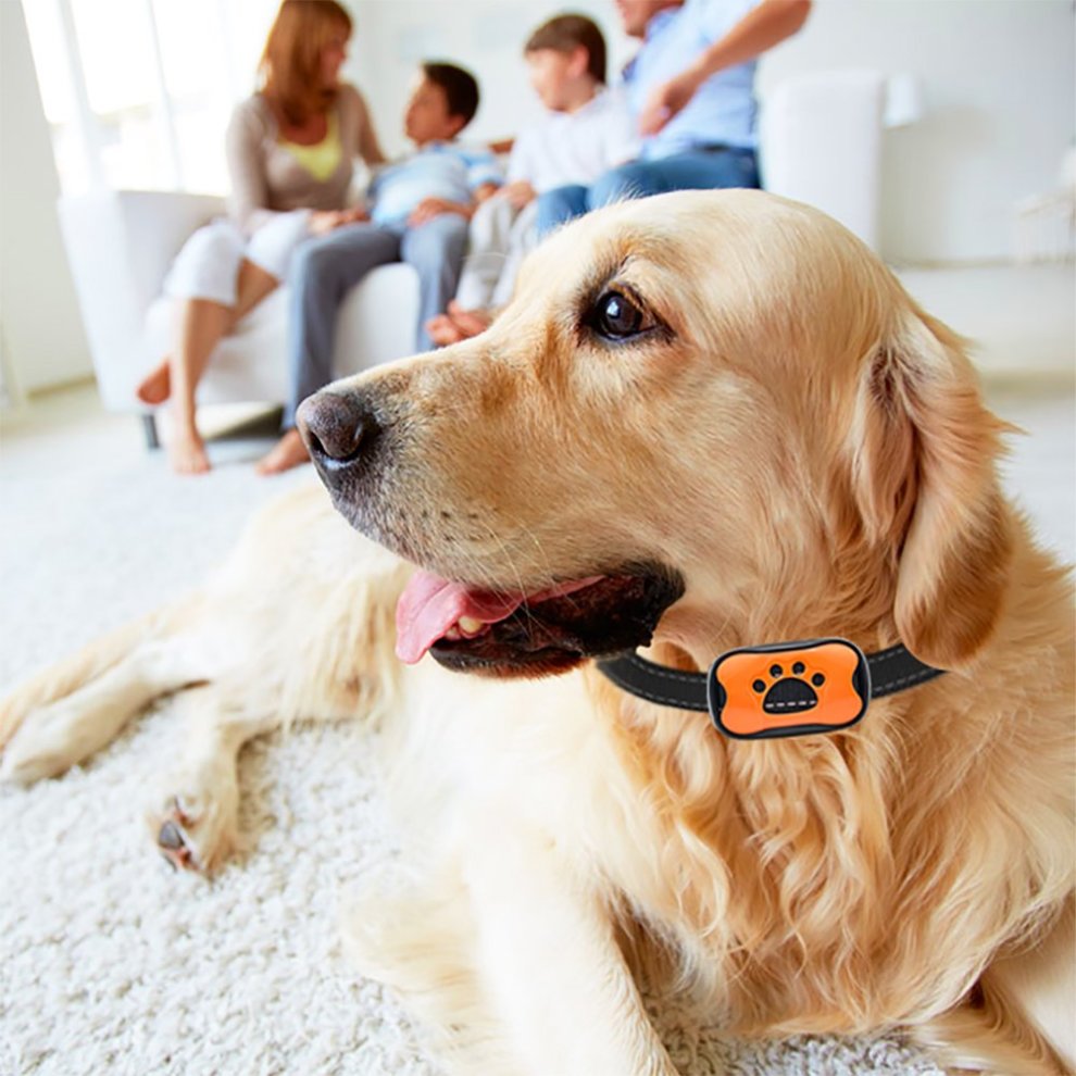 Best Bark Collars with Remote - Chart Attack