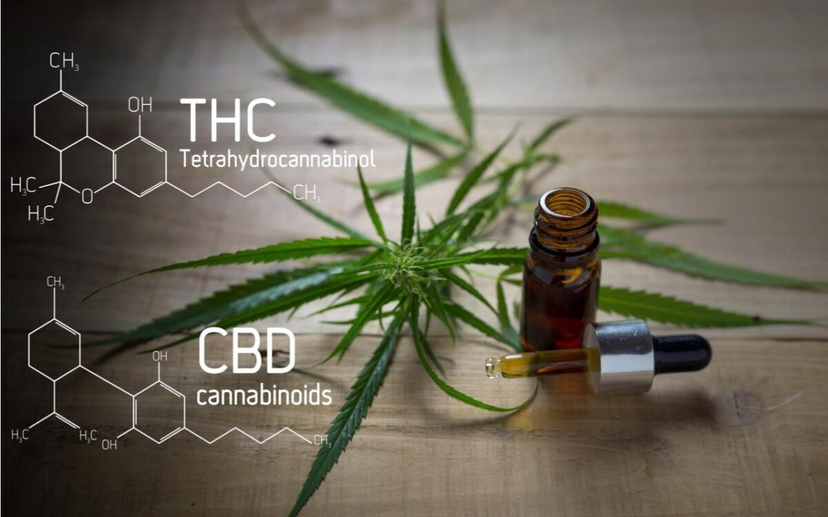 CBD vs. THC Properties, Benefits and Side Effects - Chart Attack