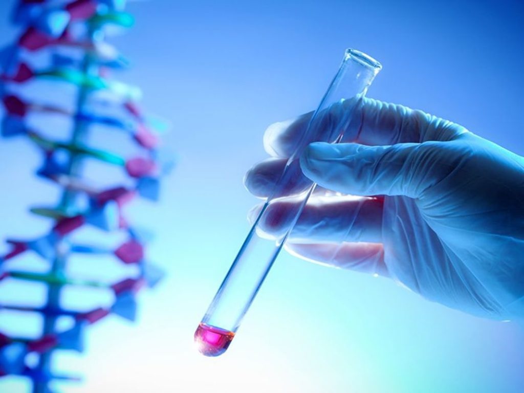 How to Make a Family Tree and Trace your Lineage with a DNA Ancestry ...