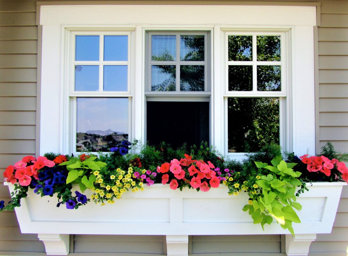 How to Choose the Best Window Boxes in 2024 - Chart Attack
