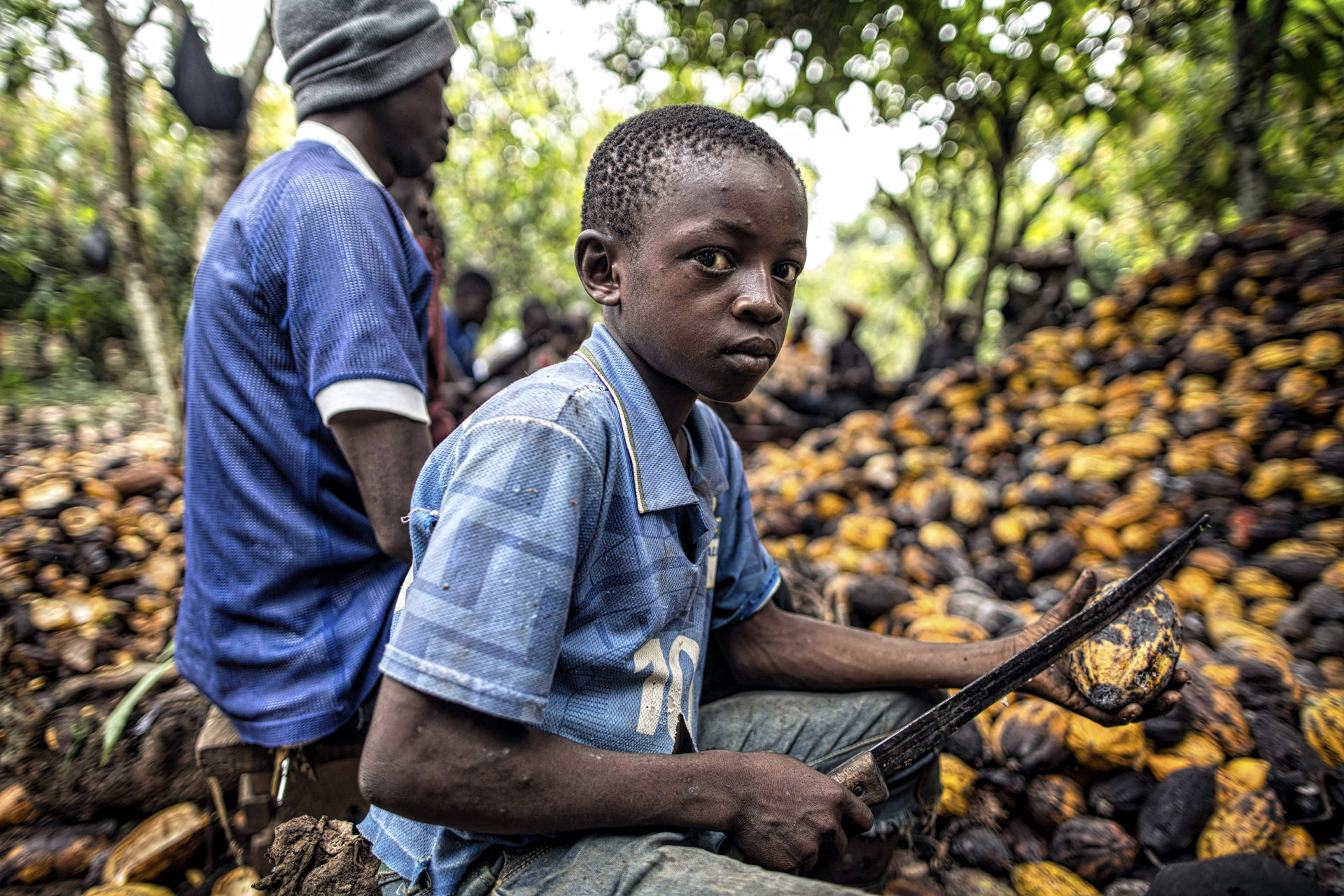 Starbucks Accused of Using Child Labor - Chart Attack
