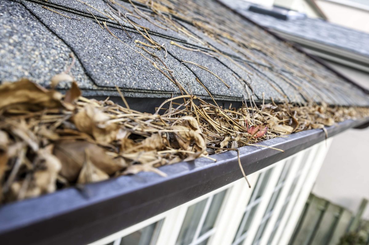 5 Best Ways to Prevent Clogged House Gutters - 2024 Guide - Chart Attack