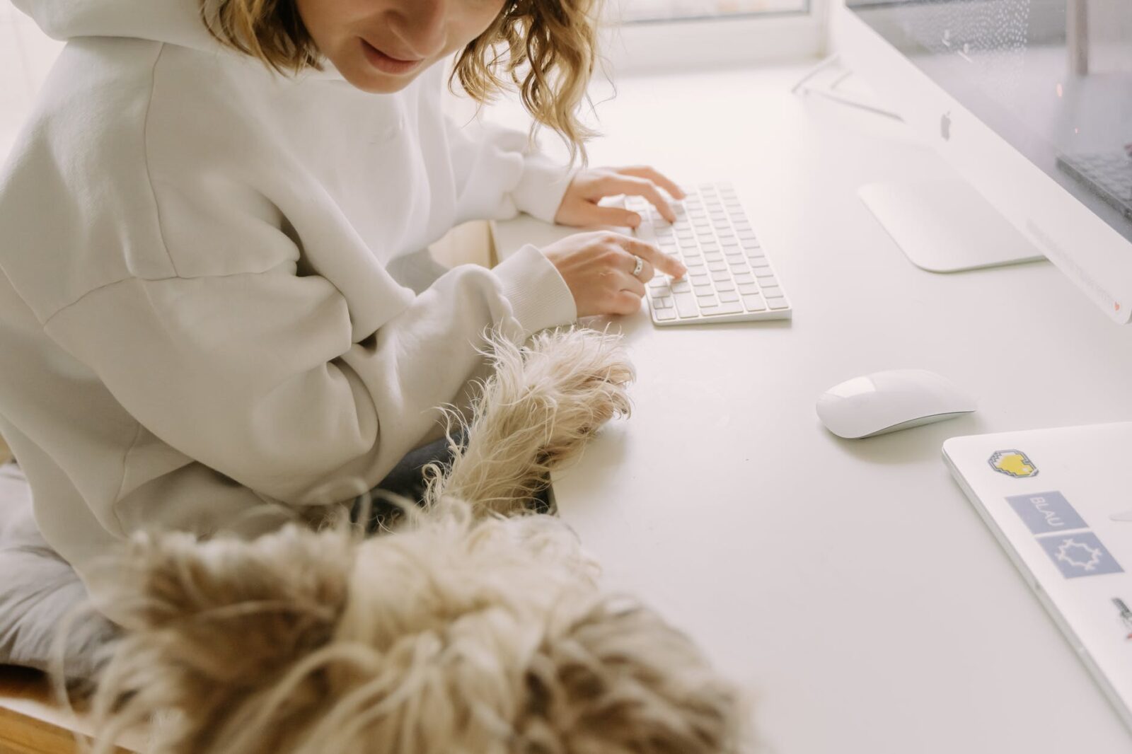 Onboarding a Four-Legged Friend? 10 Best Dog Breeds for Remote Workers ...