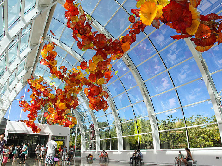 Unusual Art Installations from the USA - Chart Attack