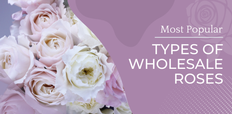 Most Popular Types Of Wholesale Roses - Chart Attack