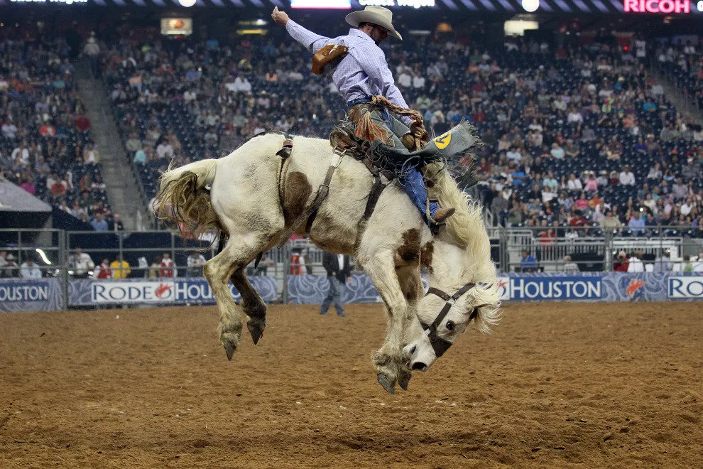 A Guide to Getting The Perfect Seats at a Rodeo - Chart Attack