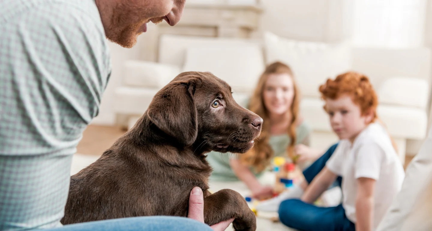How Do We Know if We’re Ready for a Family Pet? - Chart Attack