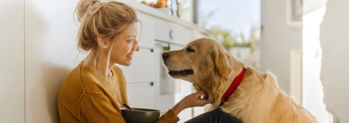 The Importance Of Pet Insurance In Managing Long-Term Conditions ...