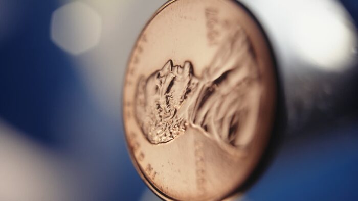 Coin Appraisal Guide: Evaluating the Value & Rarity of Your Coin ...