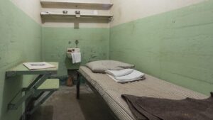 From Cell to Comfort: The Ultimate Prison Bed Buying Guide - Chart Attack