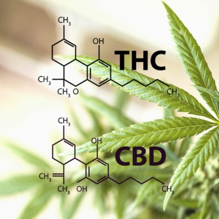 A Comprehensive Overview of Cannabinoids: Exploring HHC, HHCP, THCP, HHCH, and THCH - Chart Attack