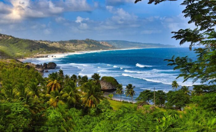Preserving Paradise: Environmental Conservation Efforts in the ...