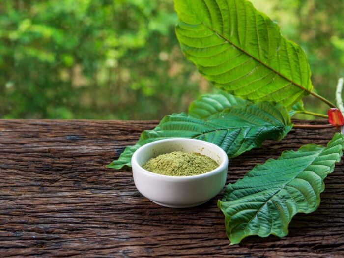 Understanding Kratom Strains: A Guide for Beginners - Chart Attack