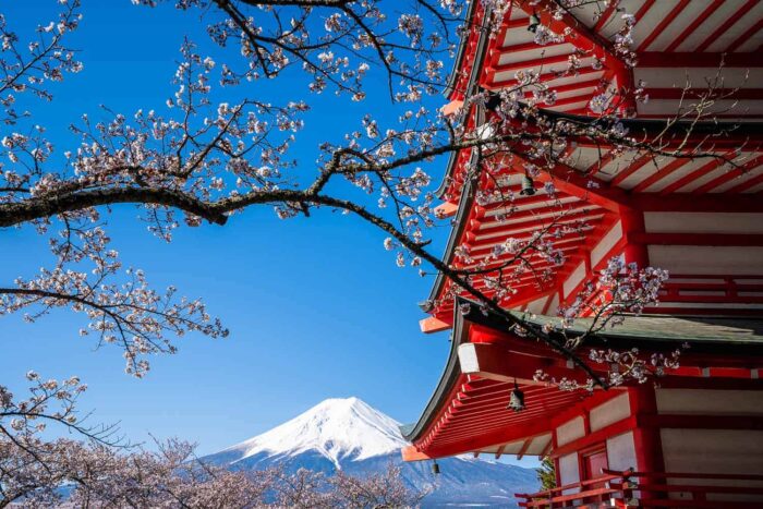 10 Awesome Things to Do When Travelling in Japan in 2025 - Chart Attack