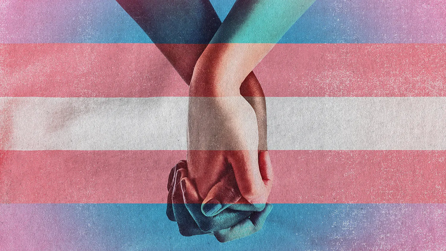 How To Meet Trans WomenHow To Meet Trans Women: The Ultimate Guide ...