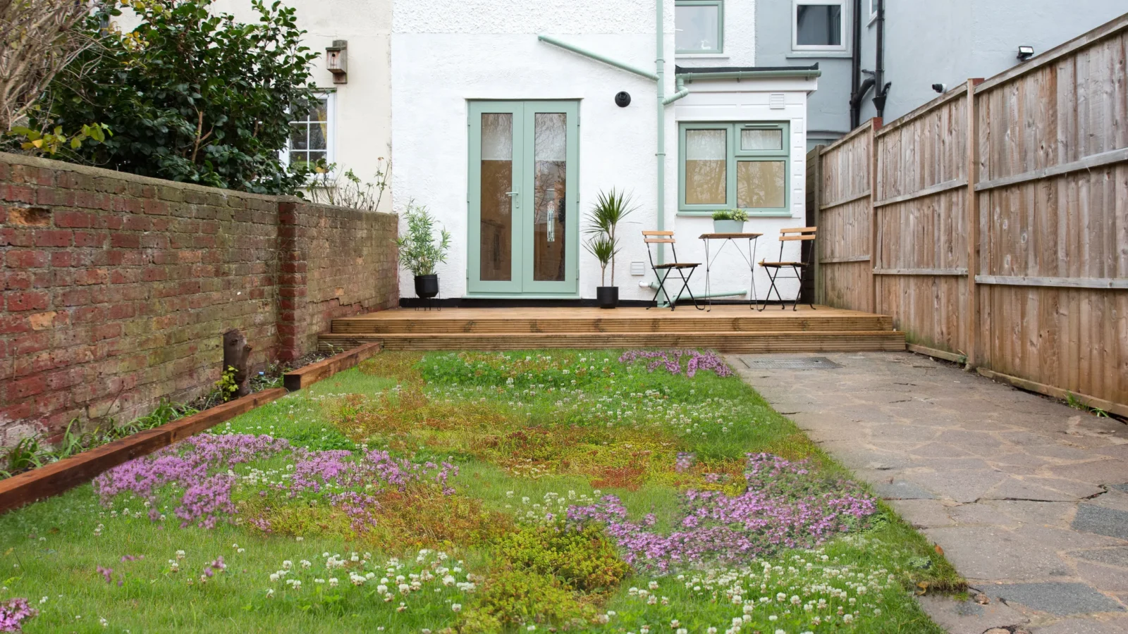 Looking for Low-Maintenance Grasses? Discover the Best Choices for Busy ...